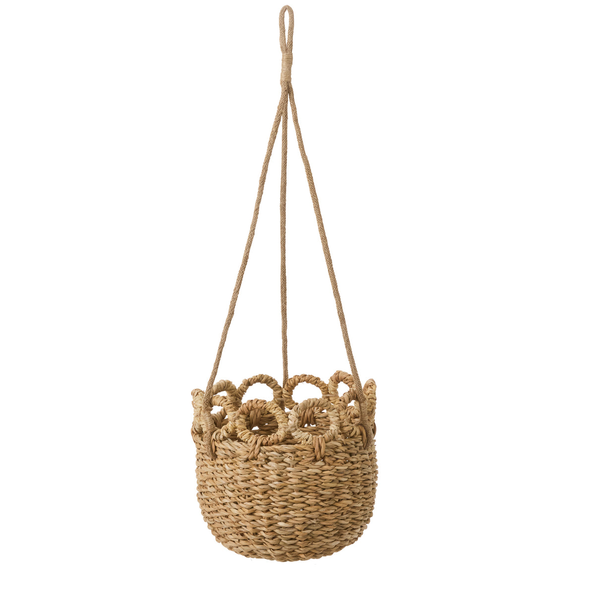 Verse Hanging Basket – Geometry Garden & Floral Shop