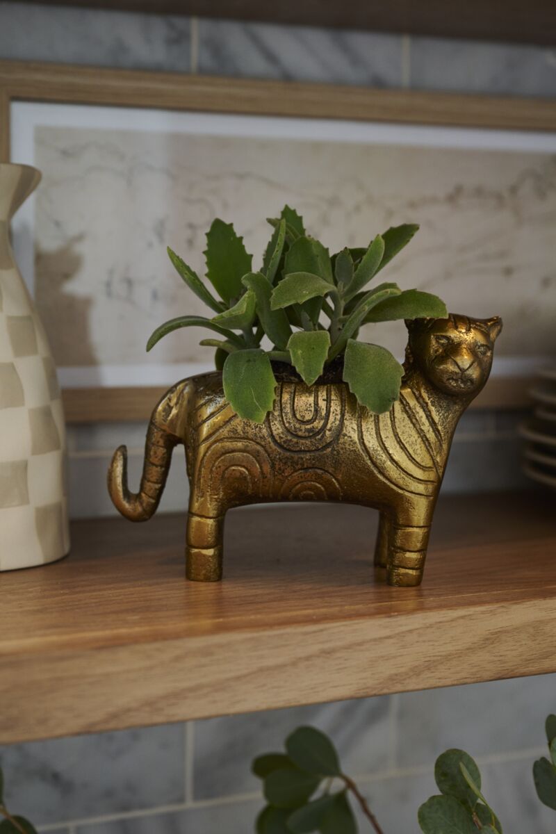 Tiger Pot – Geometry Garden & Floral Shop