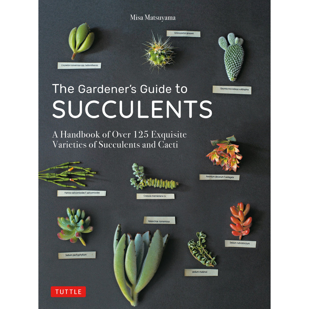 The Gardener's Guide to Succulents – Geometry Garden & Floral Shop