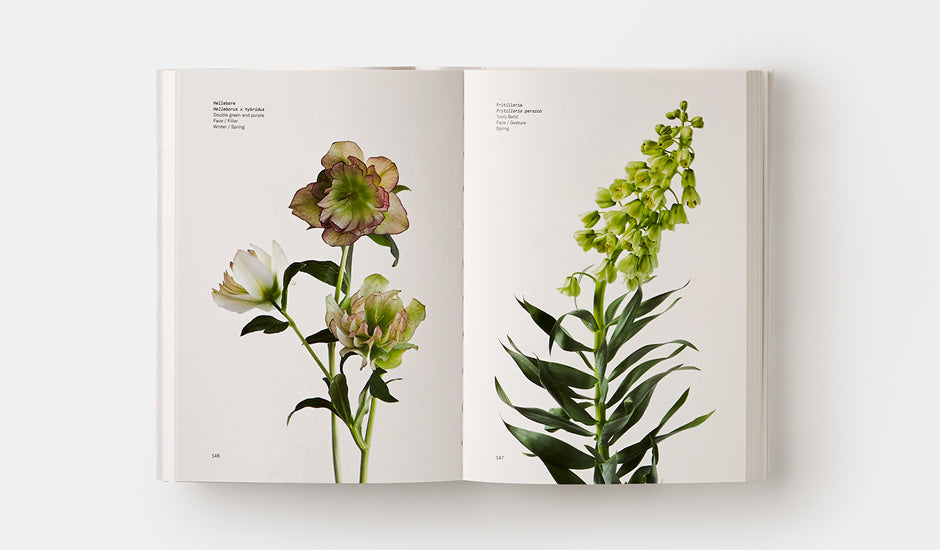 Flower Color Guide – Geometry Garden & Floral Shop