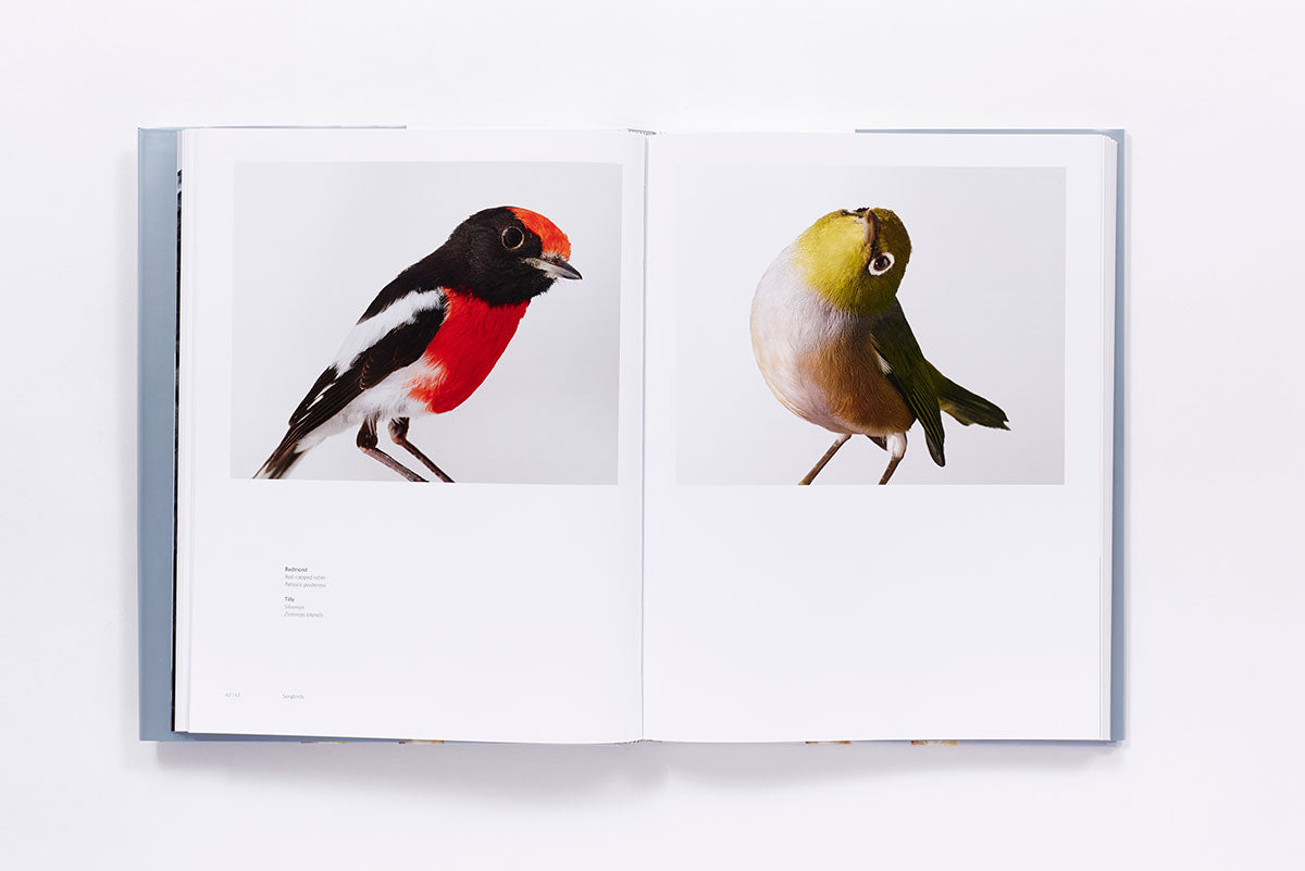 Bird Love – Geometry Garden & Floral Shop