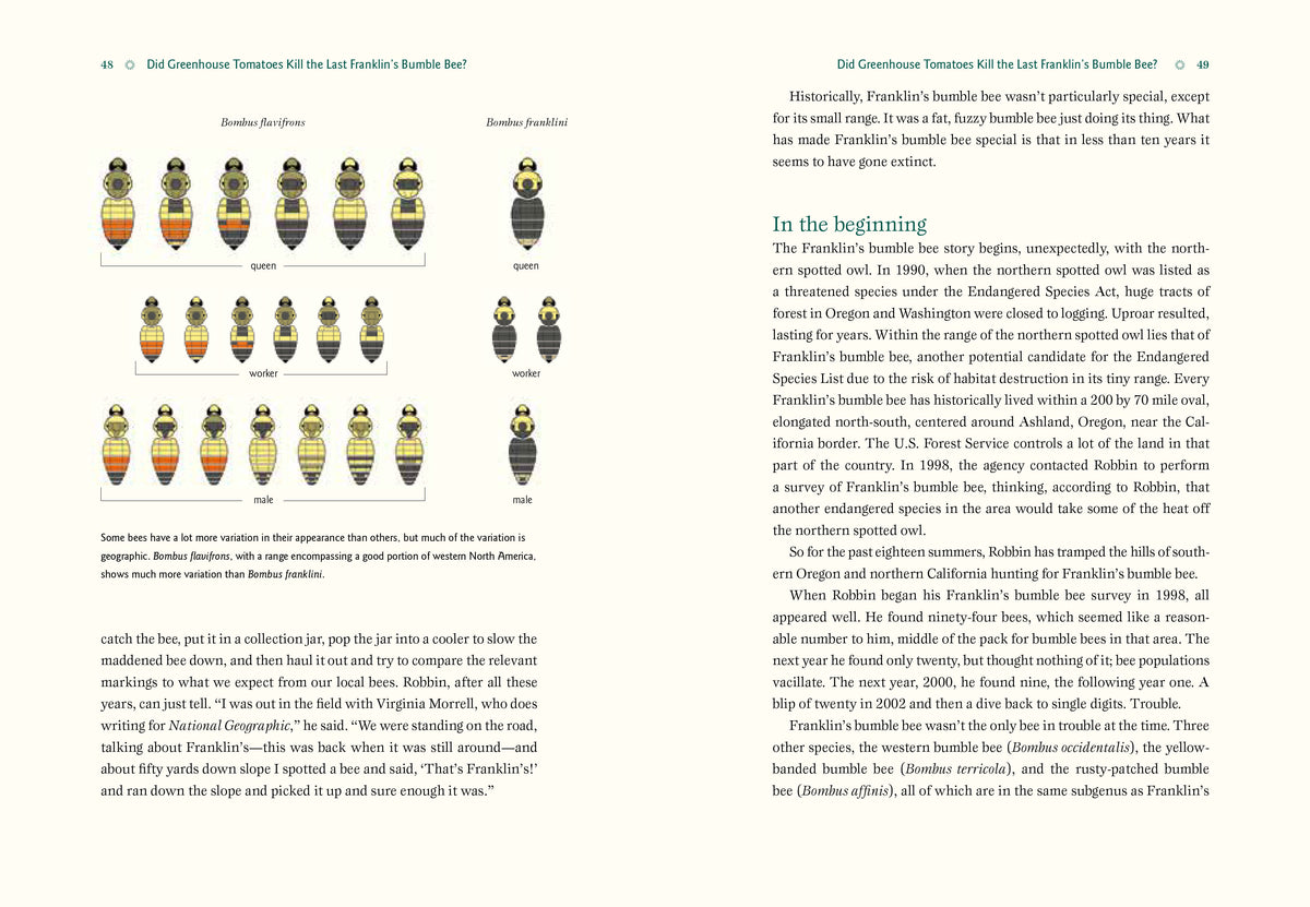 Our Native Bees – Geometry Garden & Floral Shop