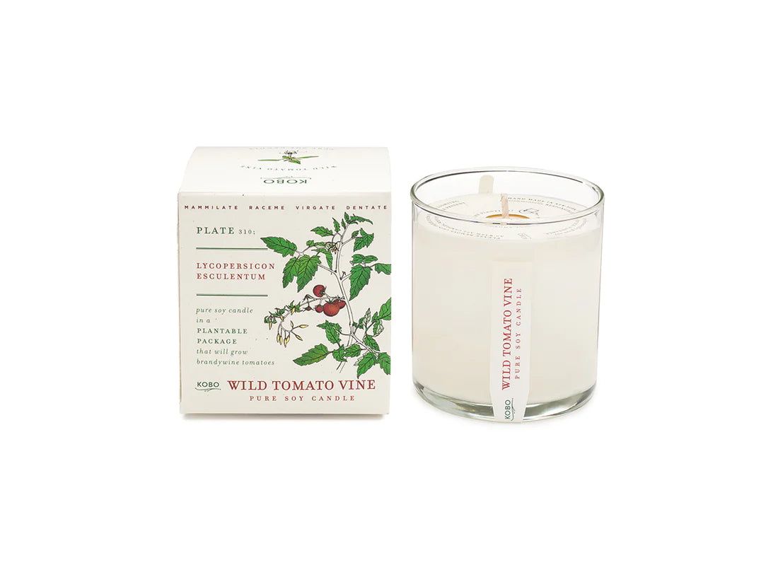Plant the Box 10oz Candle Collection – Geometry Garden & Floral Shop